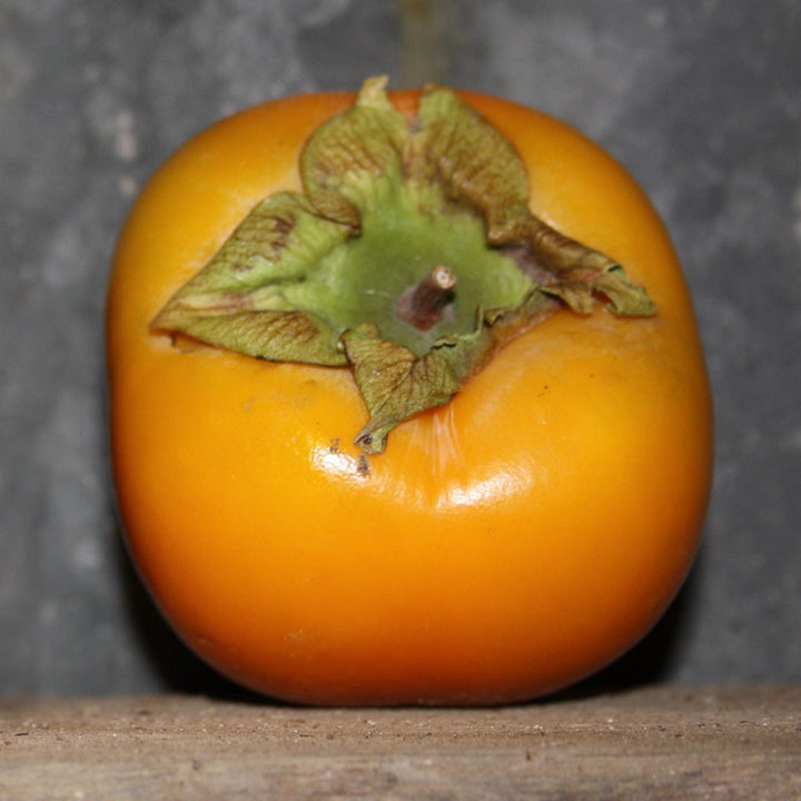 The Persimmon Place - Fruit Orchard in the Hills District